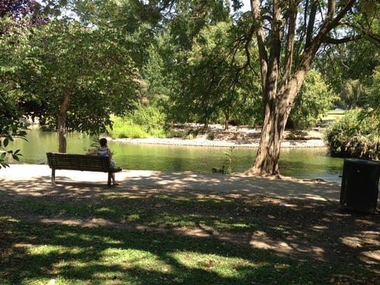 SACRAMENTO PUBLIC LIBRARY - MCKINLEY - Updated January 2026 - 36 Photos ...