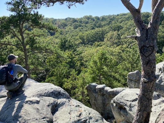 PICKLE SPRINGS NATURAL AREA - Updated August 2025 - 64 Photos & 16 ...