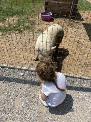 SHARKAROSA WILDLIFE RANCH - 298 Photos & 123 Reviews - 11670 Massey Rd ...