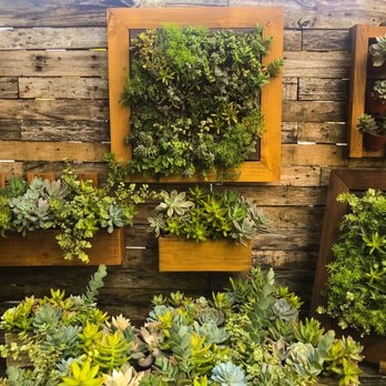 ISAAC FARMS - Updated January 2025 - 446 Photos & 111 Reviews - 18800 ...