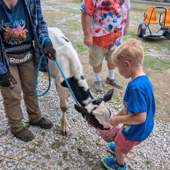 GOOD MOOD RANCH - Updated December 2025 - 148 Photos & 18 Reviews - 306 ...