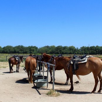 PACIFIC DUNES RIDING RANCH - Updated January 2026 - 93 Photos & 123 ...