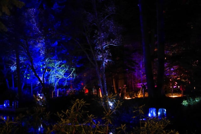 ENCHANTED FOREST - Updated September 2024 - 60 Photos - Pitlochry ...