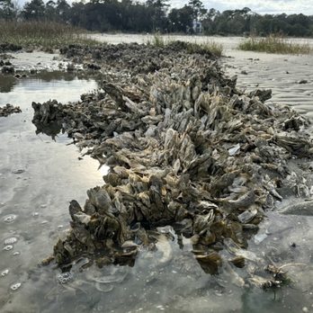 FISH HAUL BEACH PARK - Updated September 2025 - 43 Photos - 124 ...