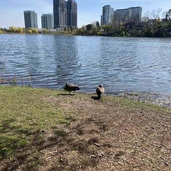 HIGH PARK - Updated May 2024 - 1006 Photos & 163 Reviews - 1873 Bloor ...