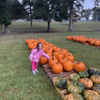 SKITTS MOUNTAIN FARMS - Updated December 2025 - 45 Photos - 7883 GA-254 ...