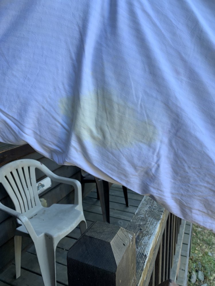 DEAN CREEK RESORT - 41 Photos & 52 Reviews - Campgrounds - 4112 Redwood ...