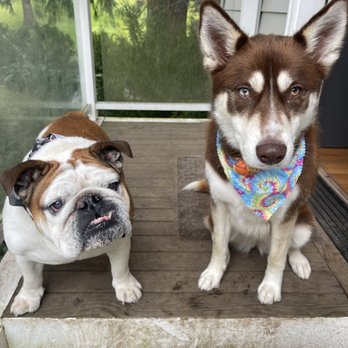 HYDRODOG BERT - Updated January 2025 - 34 Photos & 15 Reviews - Redmond ...