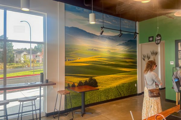 KNEAD CAFÉ & PÂTISSERIE - Updated August 2025 - 12 Photos & 10 Reviews ...