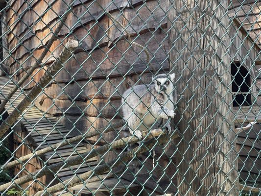 DEW HAVEN - Updated December 2025 - 79 Photos & 20 Reviews - 918 Pond ...