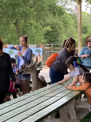 BAYOU WILDLIFE ZOO - 329 Photos & 121 Reviews - Zoos - 5050 FM 517 ...