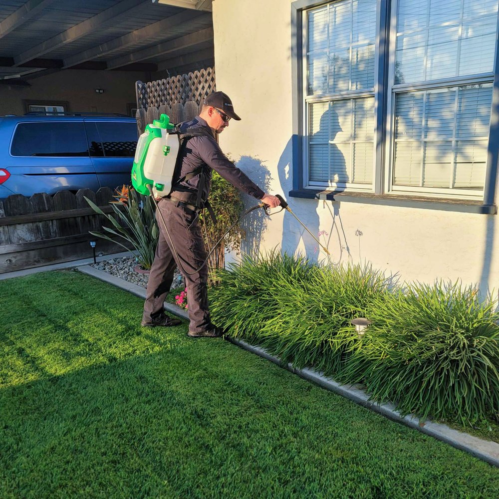 DIAMOND PEST CONTROL - Updated July 2024 - 17 Photos - PO Box 433 ...