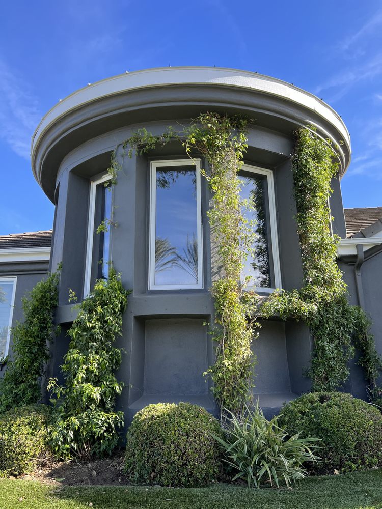 PRODIGY WINDOW TINT - Updated October 2025 - 249 Photos & 49 Reviews ...