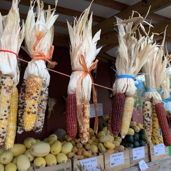 NALLS PRODUCE - Updated October 2025 - 450 Photos & 140 Reviews - 7310 ...