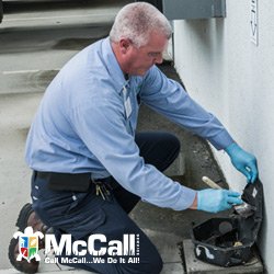 MCCALL PEST & WILLDIFE - Updated December 2025 - 53 Reviews - 2861 ...