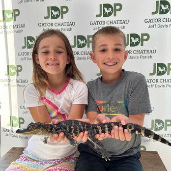 GATOR CHATEAU - Updated June 2024 - 150 Photos & 39 Reviews - 100 Rue ...