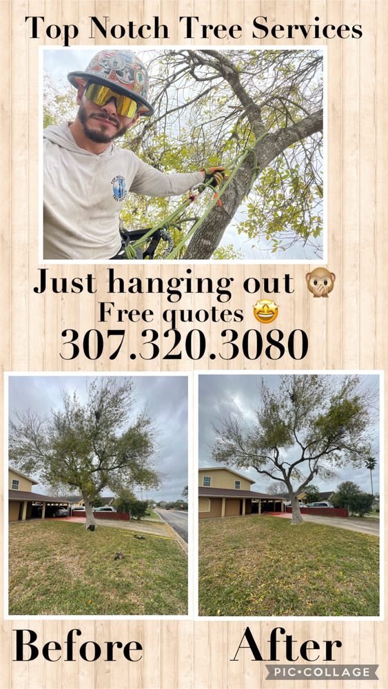 TOP NOTCH TREE SERVICES - Updated August 2025 - 11 Photos - Los Fresnos ...