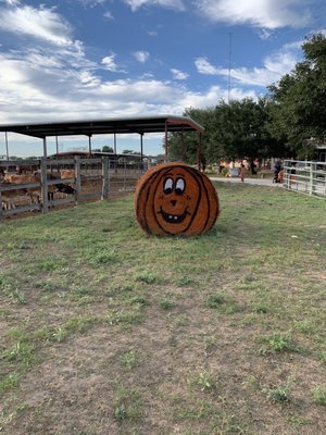 THE JERSEY BARNYARD - Updated October 2025 - 107 Photos & 50 Reviews ...