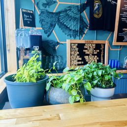 LITTLE CHANGO - Updated July 2025 - 92 Photos & 84 Reviews - 134 Coxe ...