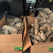 MODESTO FISH - 39 Photos & 14 Reviews - Seafood - 5616 Swanson Rd ...