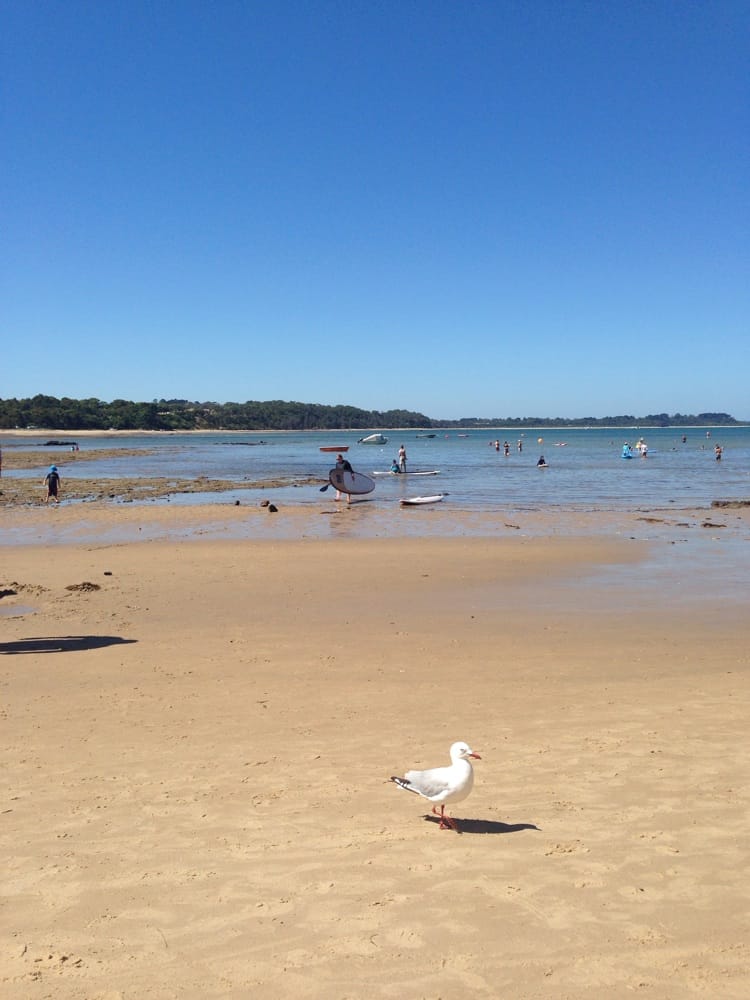 POINT LEO BOAT CLUB - Updated May 2024 - Yelp