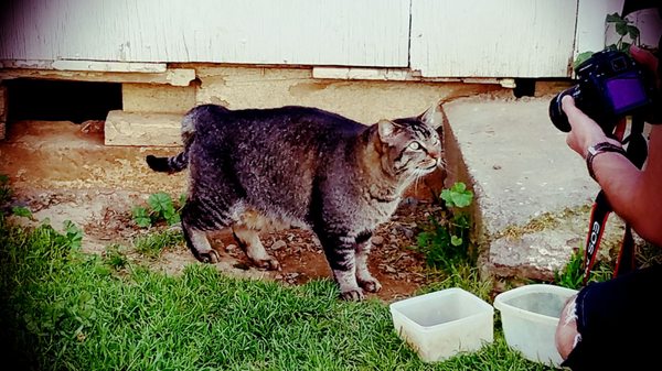 DIABLO VALLEY RANCH - Updated December 2025 - 42 Photos - 11540 Marsh ...