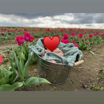 DUTCH HOLLOW FARMS - Updated December 2025 - 238 Photos & 115 Reviews ...