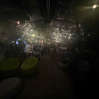 THE GREENHOUSE BAR - Updated February 2025 - 398 Photos & 332 Reviews ...