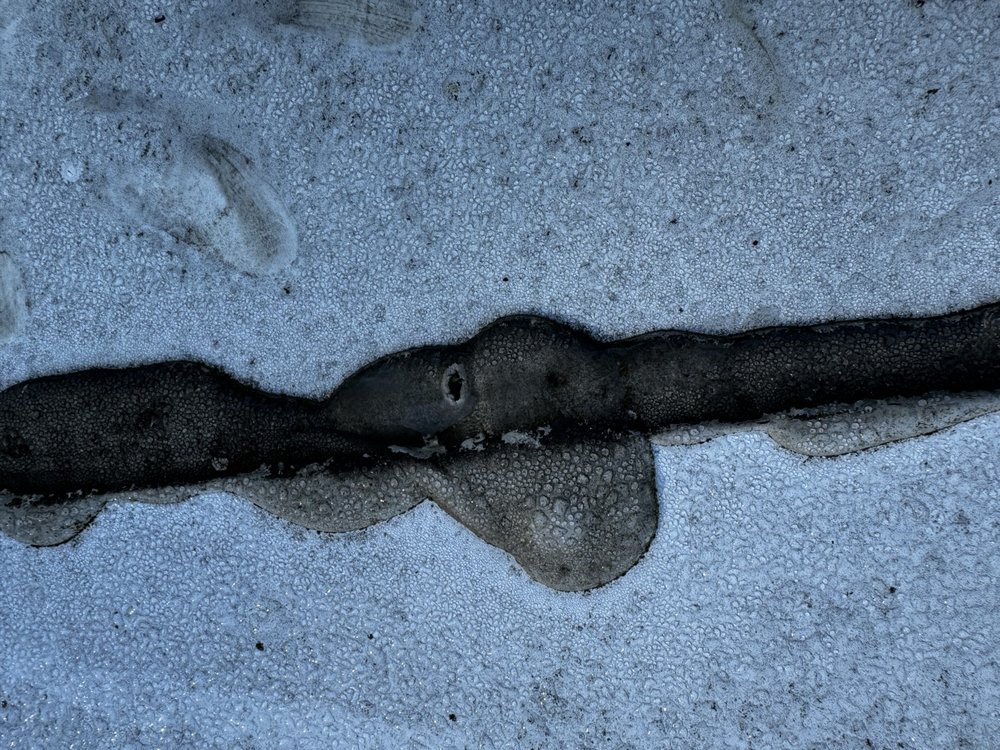 REED’S MOBILE RV SERVICE - Updated September 2025 - 15 Photos & 10 ...