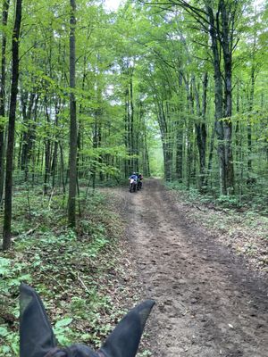 MAPLE RIDGE STABLES - Updated August 2025 - 15 Photos - 8097 Sunshine ...