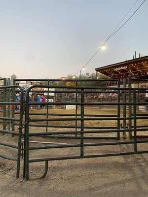 BUFFALO CHIP SALOON & STEAKHOUSE Cave Creek, AZ - Updated November 2024 ...