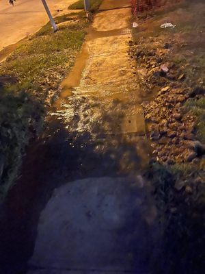 TACHUS - Updated December 2025 - 20 Reviews - 3831 Technology Forest ...