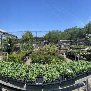 SIMPSON ACE HARDWARE - Updated November 2024 - 320 W Liberty St, Sumter ...