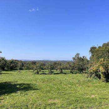 WILKENS FRUIT AND FIR FARM - Updated November 2024 - 350 Photos & 192 ...