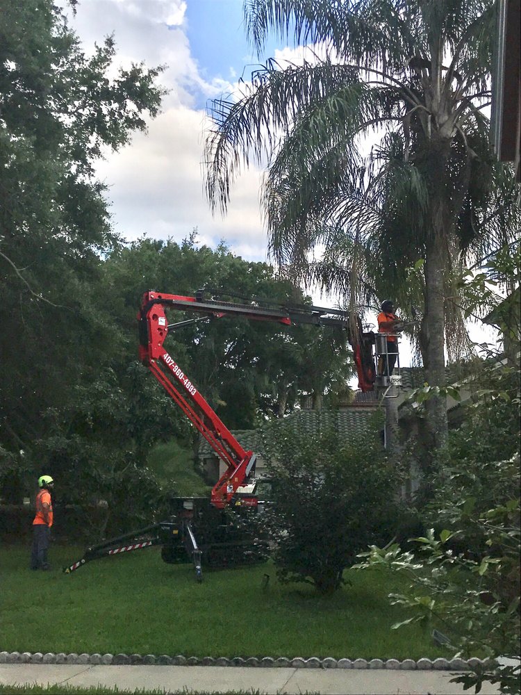 ADVANCE TREE PROS - 15 Photos - Tree Services - Orlando, FL - Phone ...
