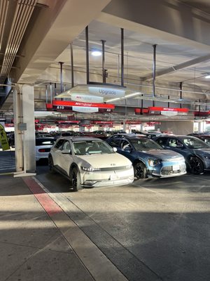 AVIS - LAS VEGAS - Updated January 2026 - 222 Photos & 598 Reviews ...