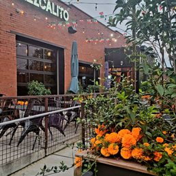 MEZCALITO - DURHAM - Updated April 2025 - 539 Photos & 346 Reviews ...