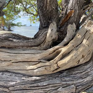 LAW OFFICE OF ERIC SHIU - Updated October 2025 - 117 Reviews - 2570 ...