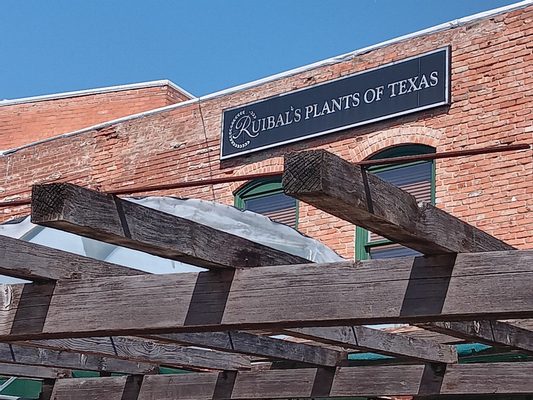 RUIBAL’S PLANTS OF TEXAS - Updated February 2026 - 302 Photos & 112 ...