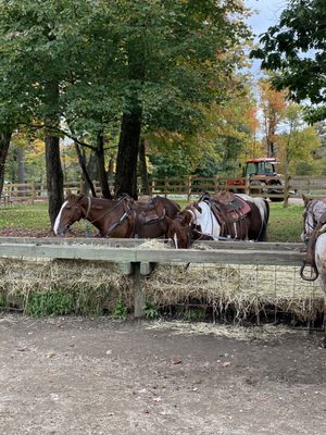 CORNERSTONE RANCH - Updated August 2025 - 70 Photos & 124 Reviews - 29 ...