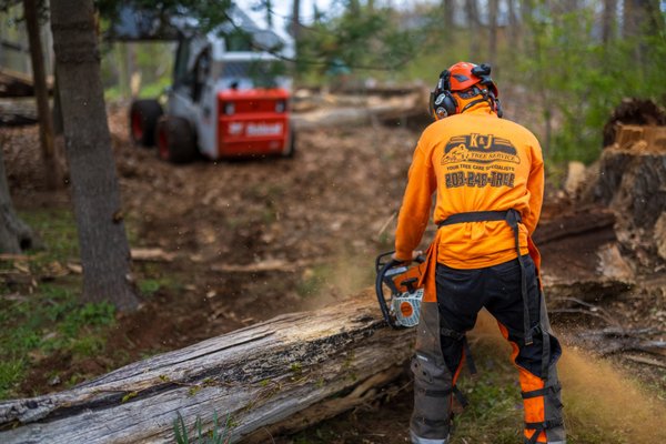 K&J TREE SERVICE - Updated December 2025 - 61 Photos & 38 Reviews - 2 ...