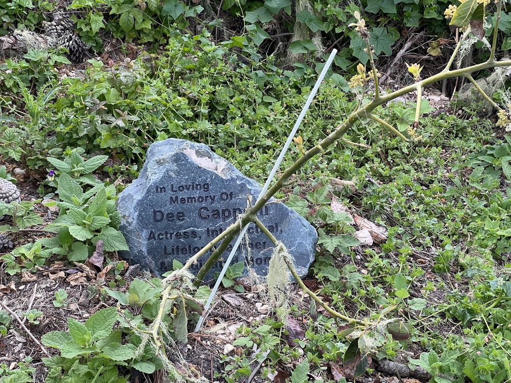 PURISSIMA CEMETERY - Updated December 2025 - 35 Photos - 1103-1149 ...