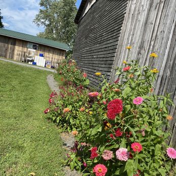 MOUNTAIN RUN WINERY - Updated November 2025 - 127 Photos & 56 Reviews ...