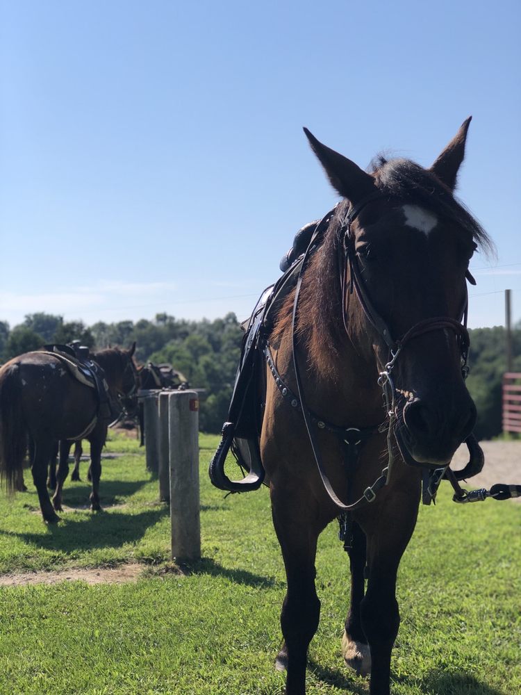 DOUBLE J STABLES AND HORSEMAN’S CAMPGROUND - Updated August 2024 - 55 ...