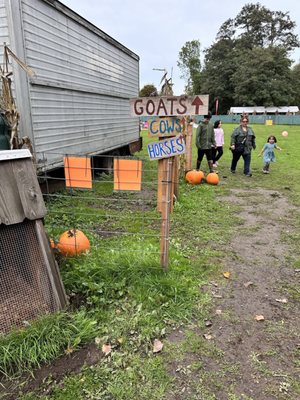 BRISCOT FARMS - Updated April 2026 - 70 Photos & 16 Reviews - 27329 ...