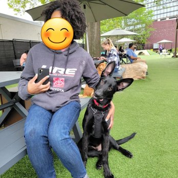 SKIPTOWN - Updated December 2025 - 201 Photos & 115 Reviews - 222 ...