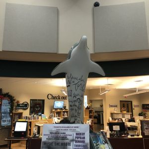 LARGO PUBLIC LIBRARY - 87 Photos & 31 Reviews - 120 Central Park Dr ...