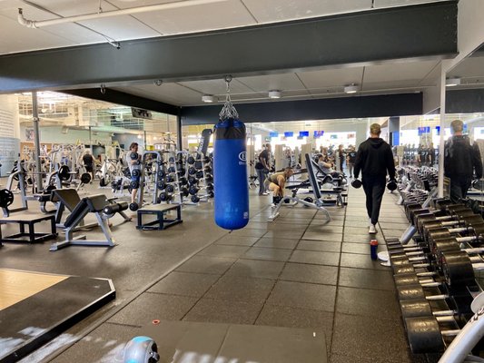 GOLD’S GYM - SAN ANTONIO - 40 Photos & 60 Reviews - 1246 Austin Hwy ...