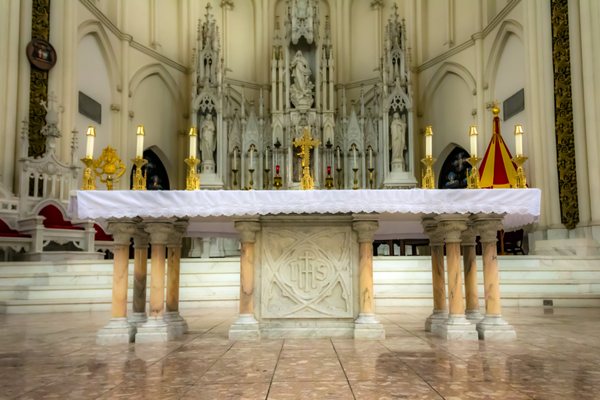 THE CATHEDRAL BASILICA OF THE IMMACULATE CONCEPTION - Updated September ...