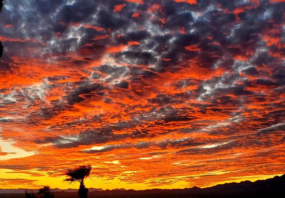 HAVASU FALLS RV RESORT - Updated January 2025 - 12 Photos & 34 Reviews ...